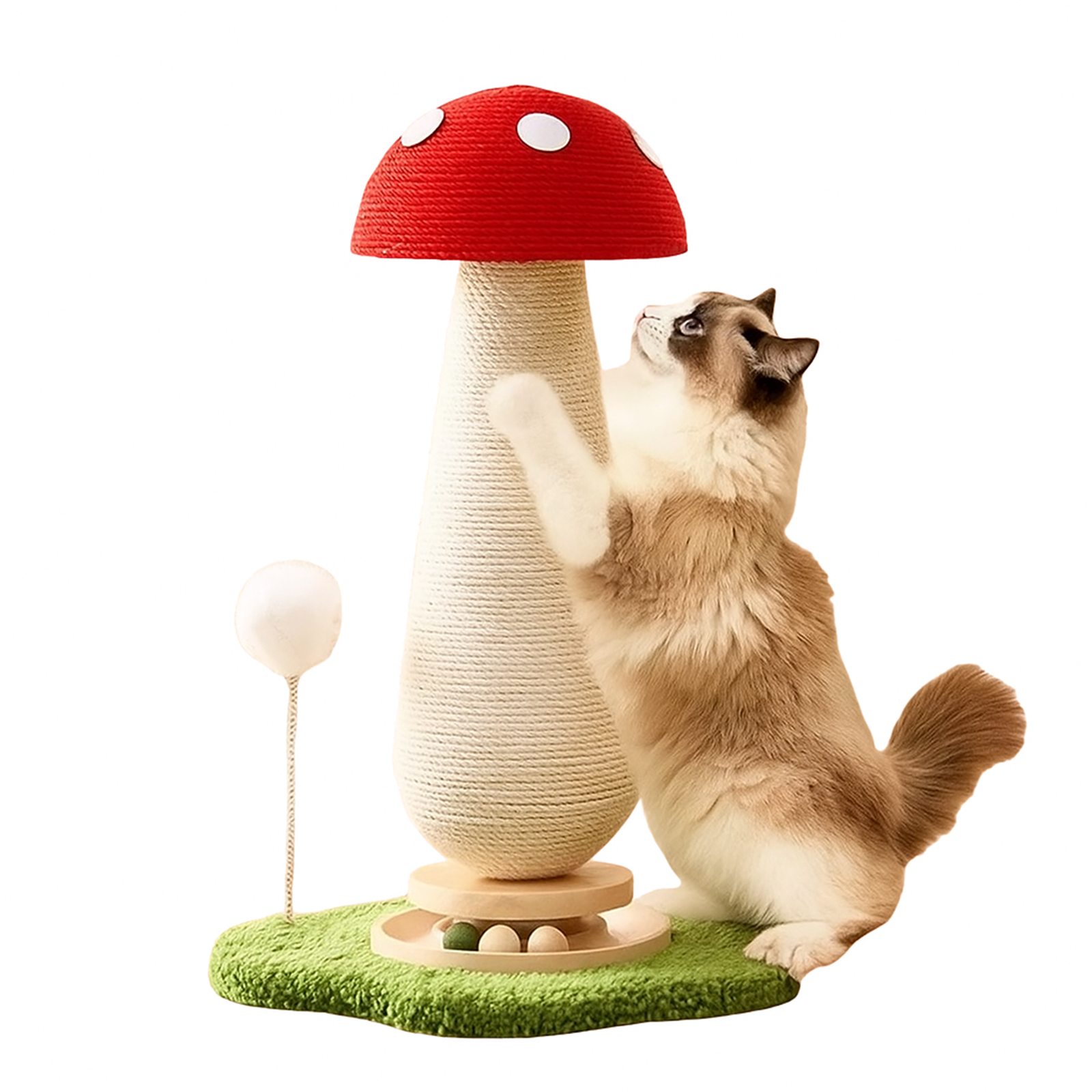 Mushroom Cat Scratching Post with Ball Track & Spring Toy – FurFitFun