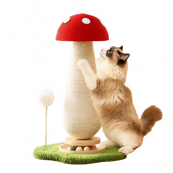 Mushroom Cat Scratching Post with Ball Track & Spring Toy – FurFitFun